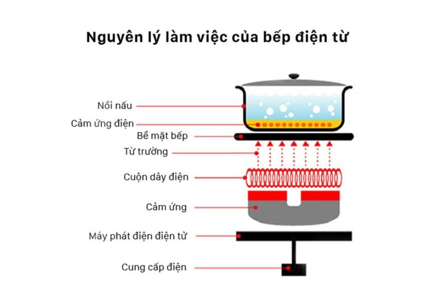 Hướng dẫn cách sử dụng bếp từ Giovani【Xem ngay】 » Điện máy Việt Nam